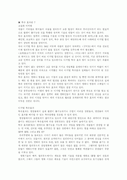특수효과 레포트 자료