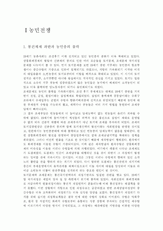 농민전쟁 레포트 자료