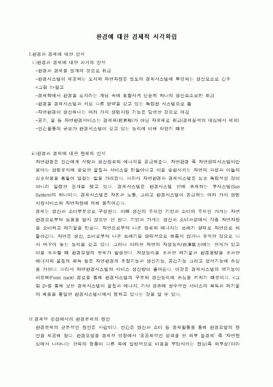 환경에 대한 경제적 시각