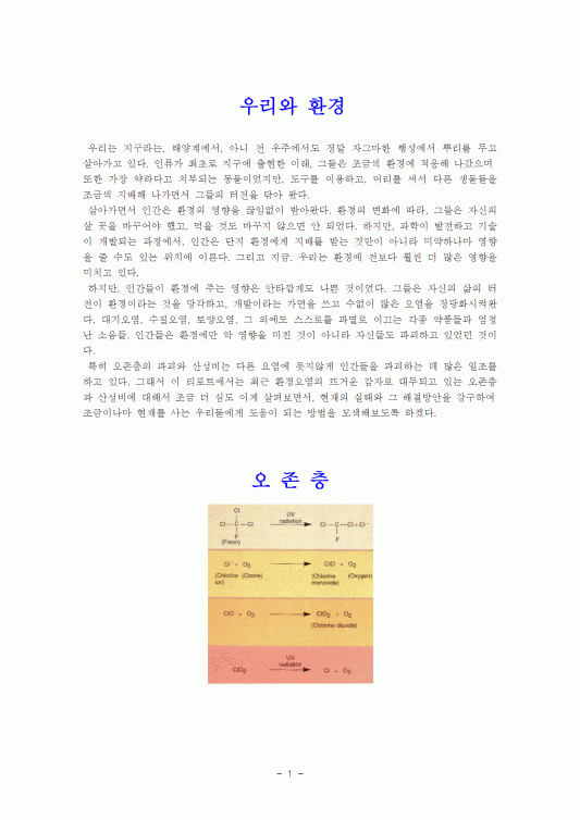 우리와 환경 레포트 자료