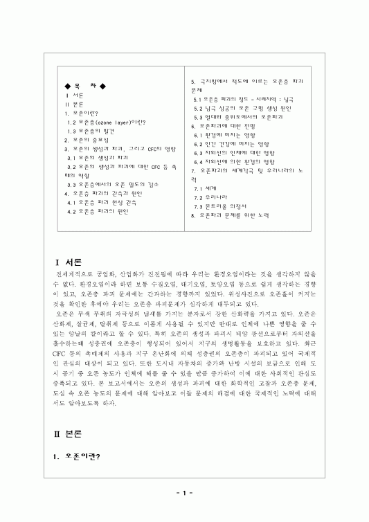 오존층파괴 레포트 자료