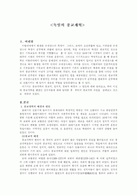 종교개혁 [인문과학]