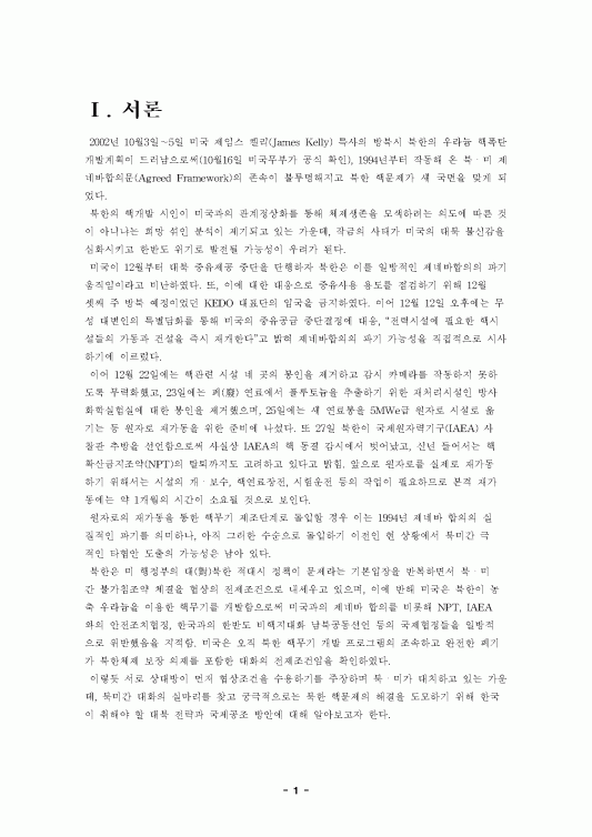 북핵문제와NPT