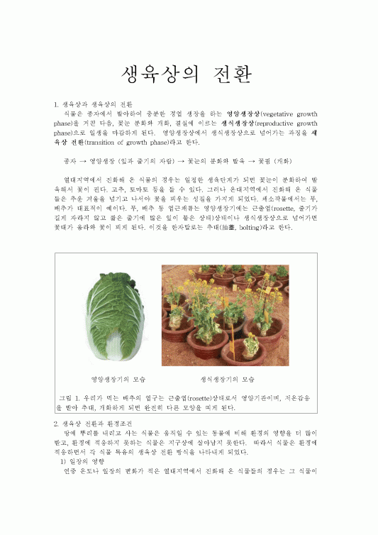 생육상의 전환