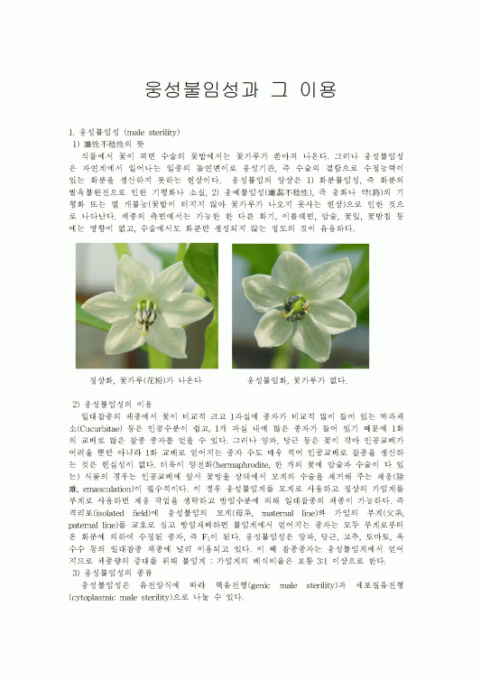 웅성불임성과 그 이용