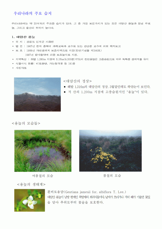 우리나라의 주요습지