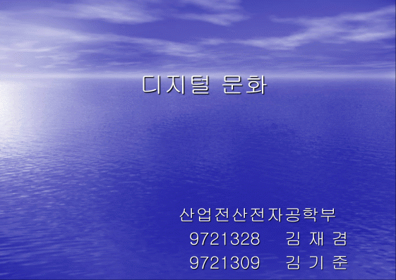 디지털 문화 레포트 자료