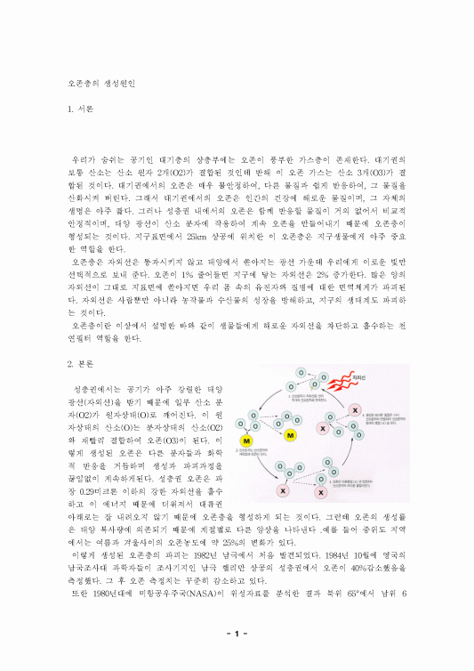 오존층의 생성원인