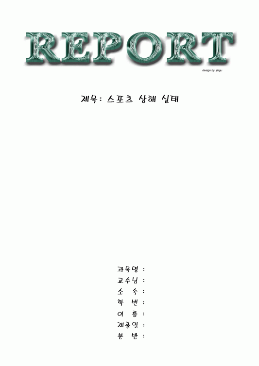 스포츠 상해 실태