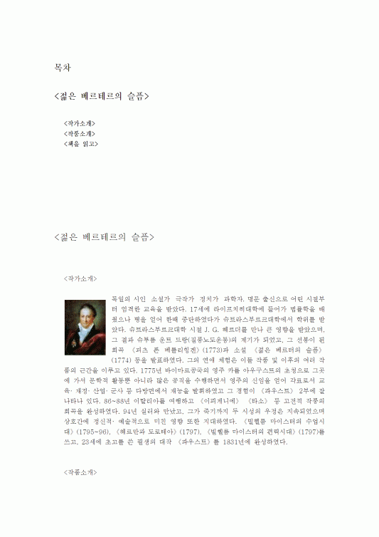 젊은 베르테르의 슬픔-괴테(독후감)