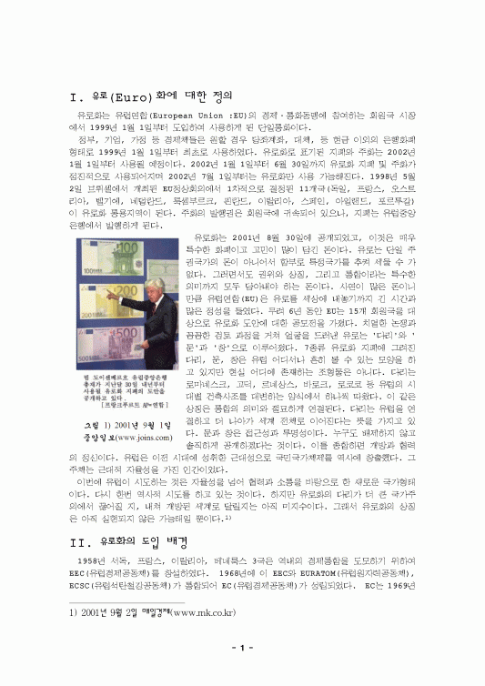 EU의 통화 레포트 자료