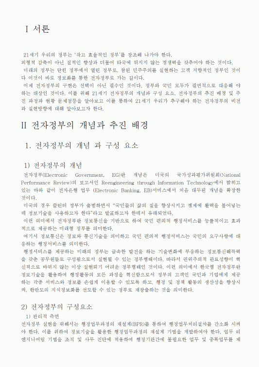 전자정부의 발전방향과 문제점및 해결방안
