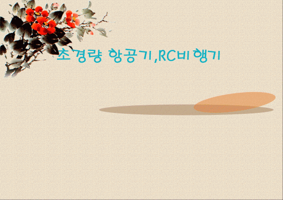 초경량항공기RC비행기