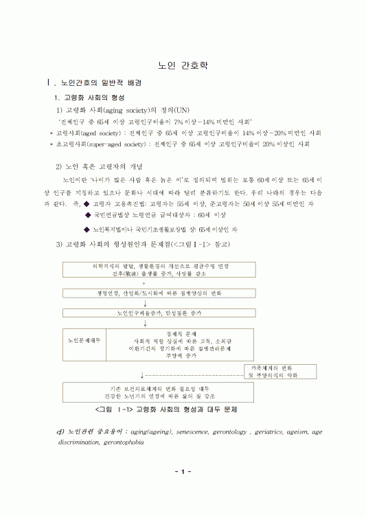 노인간호 레포트 자료