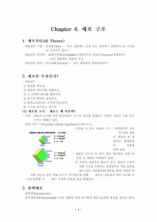 세포 구조 레포트 자료