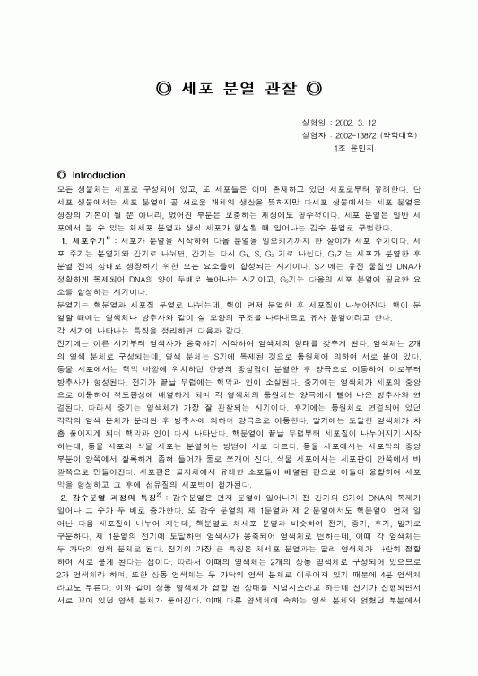 일반 생물학 실험 시간에 세포분열 관찰