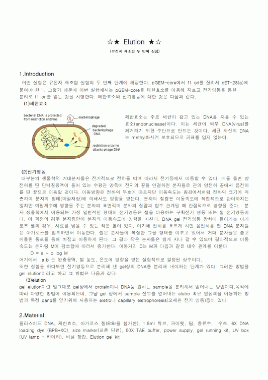 유전자 재조합
