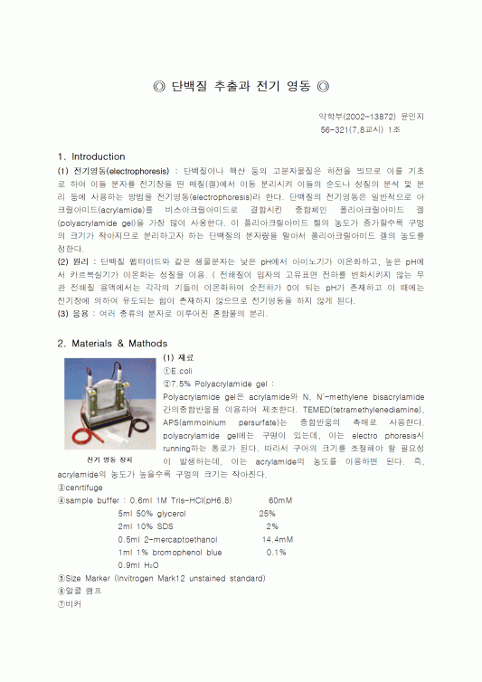 전기 영동 레포트 자료