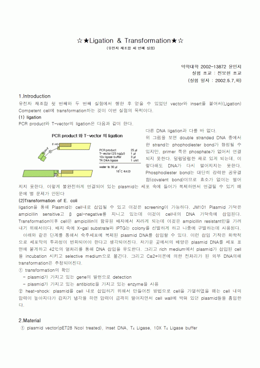 Ligation & Transformation