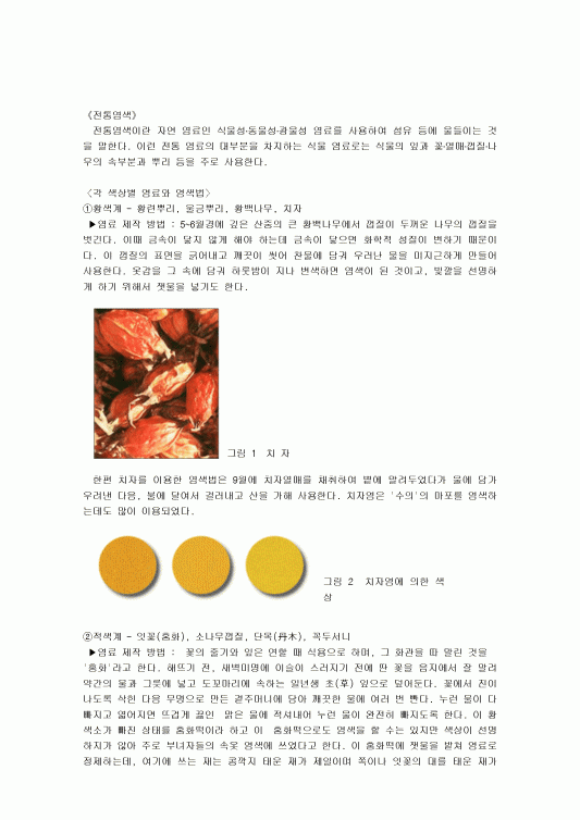 [예체능] 전통염색