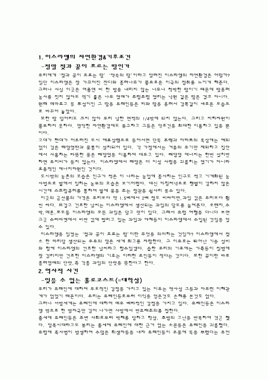 이스라엘 문화
