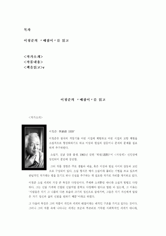 이청준-매잡이(독후감)