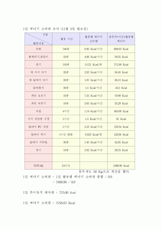1일 에너지 소비량 조사