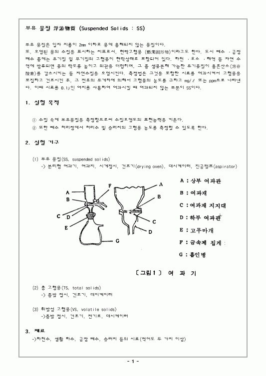 SS 프리 레포트