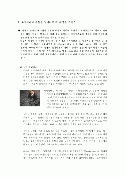 [레포트] 화석에너지, 화석연료,원자력