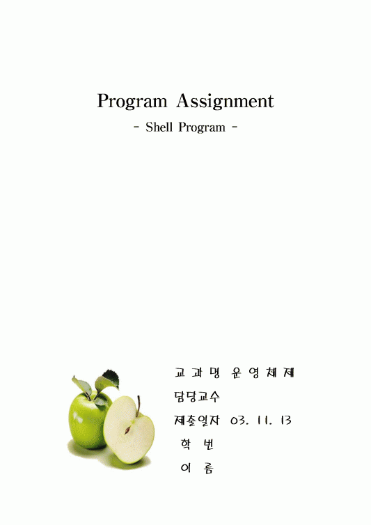 쉘 프로그램 레포트 자료
