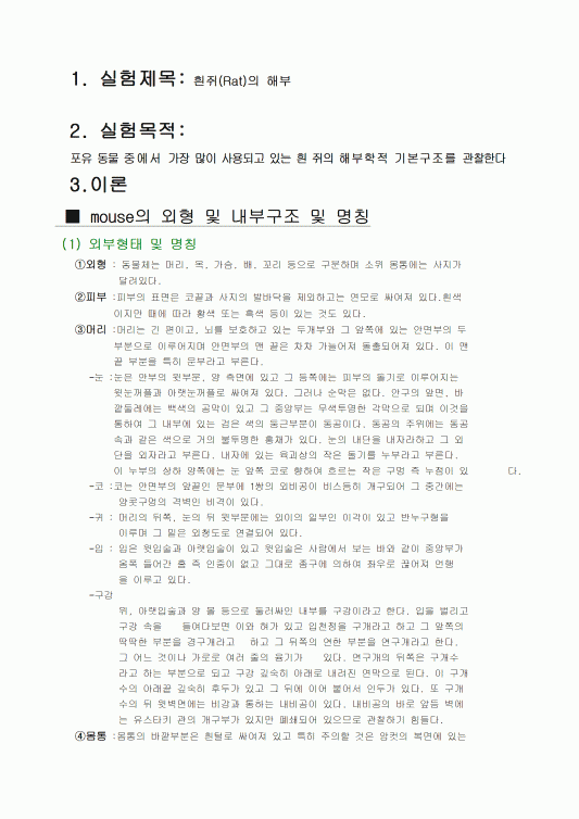 쥐의 해부 레포트 자료