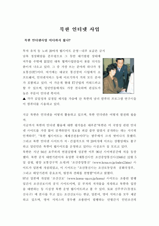 북한 인터넷 사업