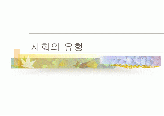 사회의 유형 레포트 자료