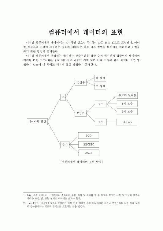 데이터 표현 레포트 자료