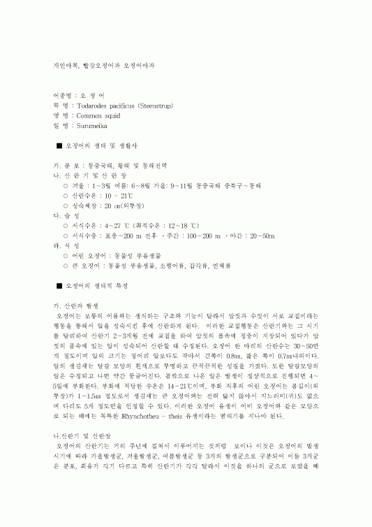 오징어에 대한 조사