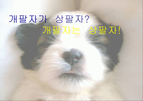 [사회과학] 애견마케팅