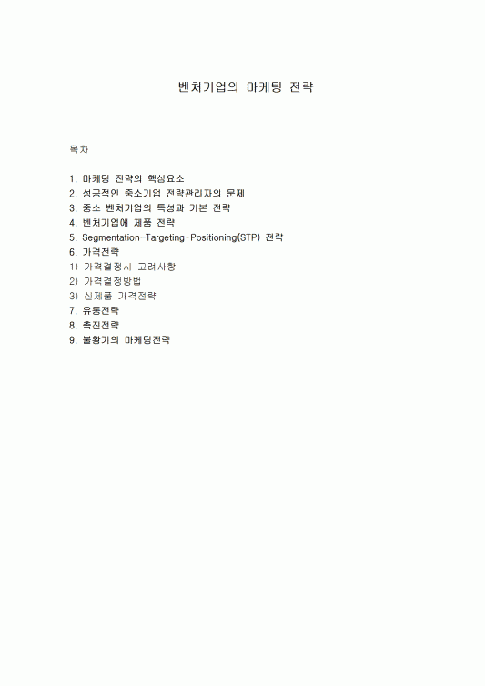 벤처기업의 마케팅 전략