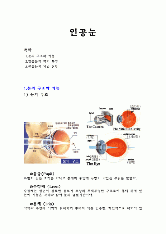 눈의 구조와 기능 및 인공눈의 여러 특성 개발현황