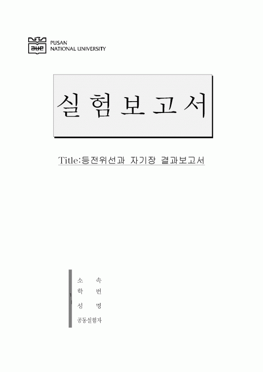 물리 실험 - 등전위선과 자기장 - 결과 보고서