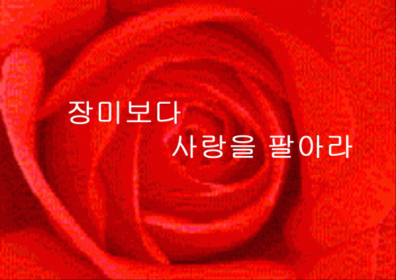 장미보다 사랑을 팔아라를 읽고..
