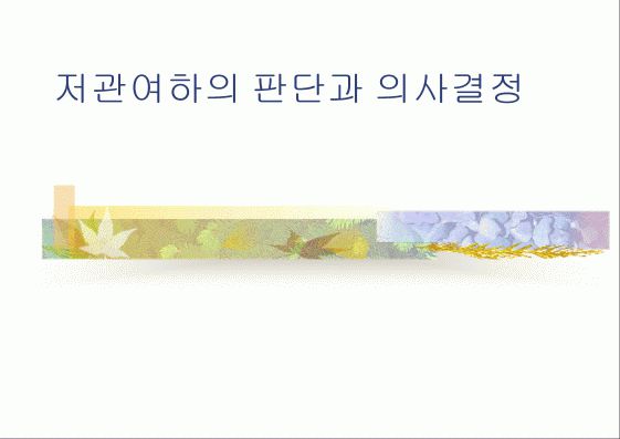 저관여하의 판단과 의사결정