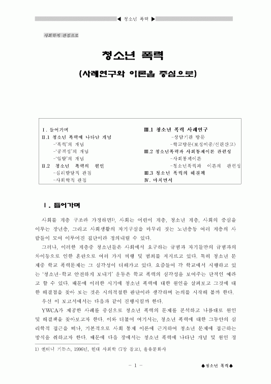 사회학적 관점의 청소년 폭력