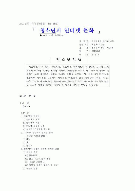 청소년의 인터넷 문화