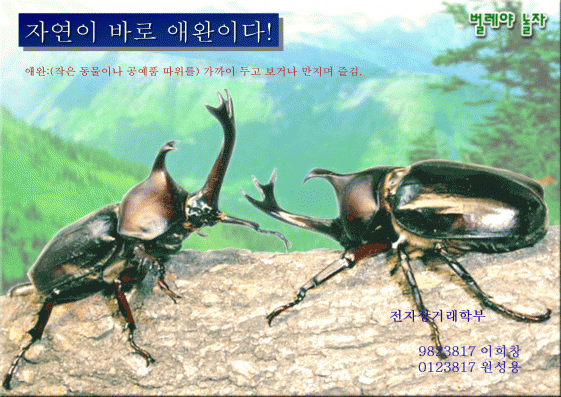 인터넷 쇼핑몰 창업준비