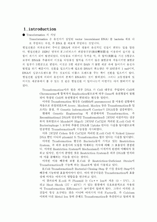 Transformation 레포트 자료