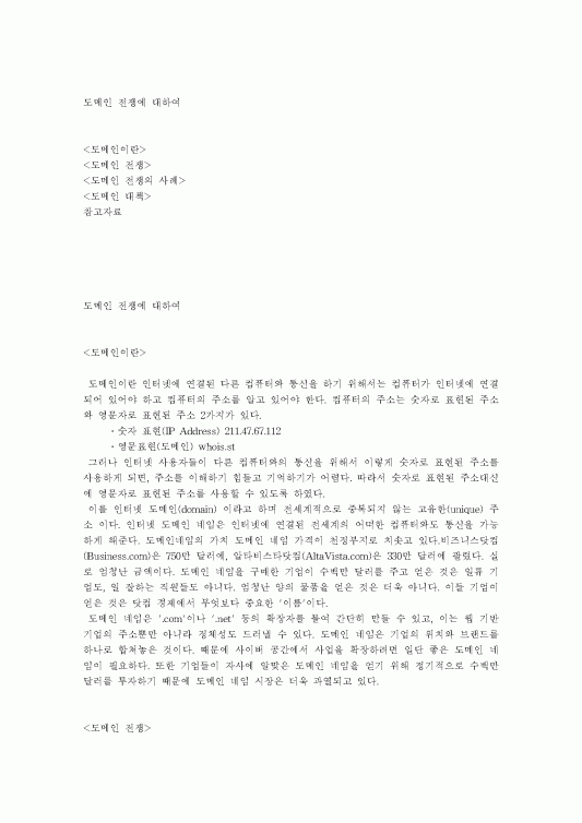 도메인전쟁 레포트 자료