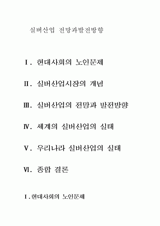 실버산업 전망과발전방향
