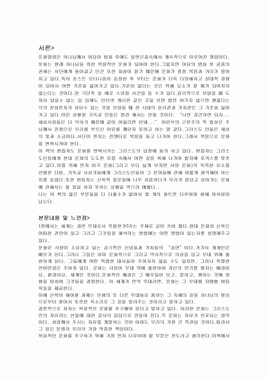 하나님과 문화 감상문