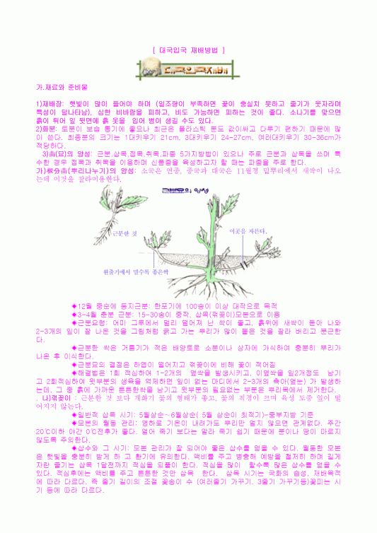 대국입국 재배방법