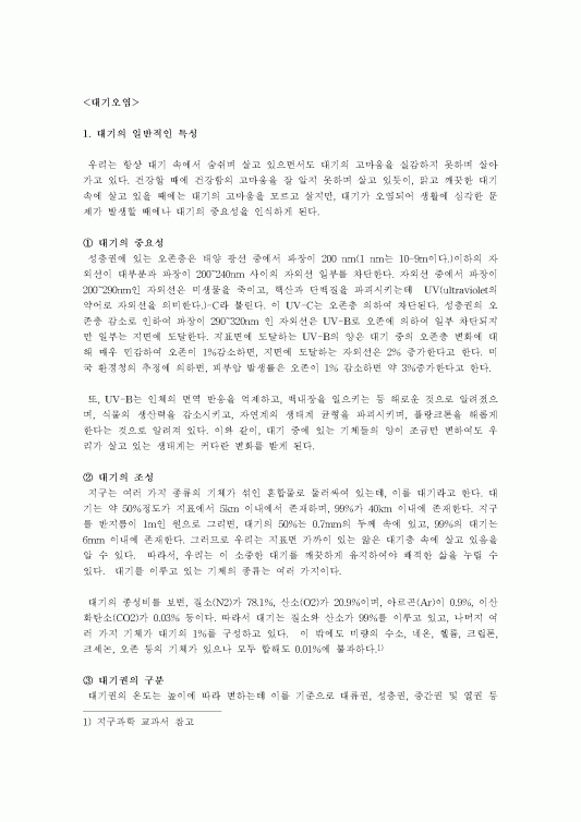 대기오염의 의미